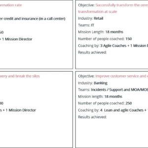 lean-transformation-examples-operae-partners - Operae Partners